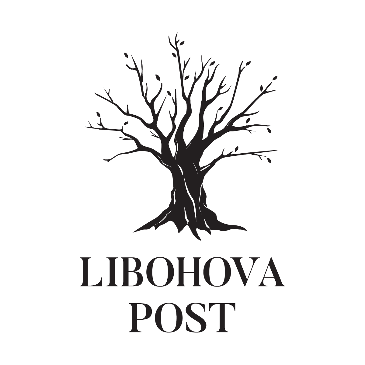 Kinematografi | Libohova Post